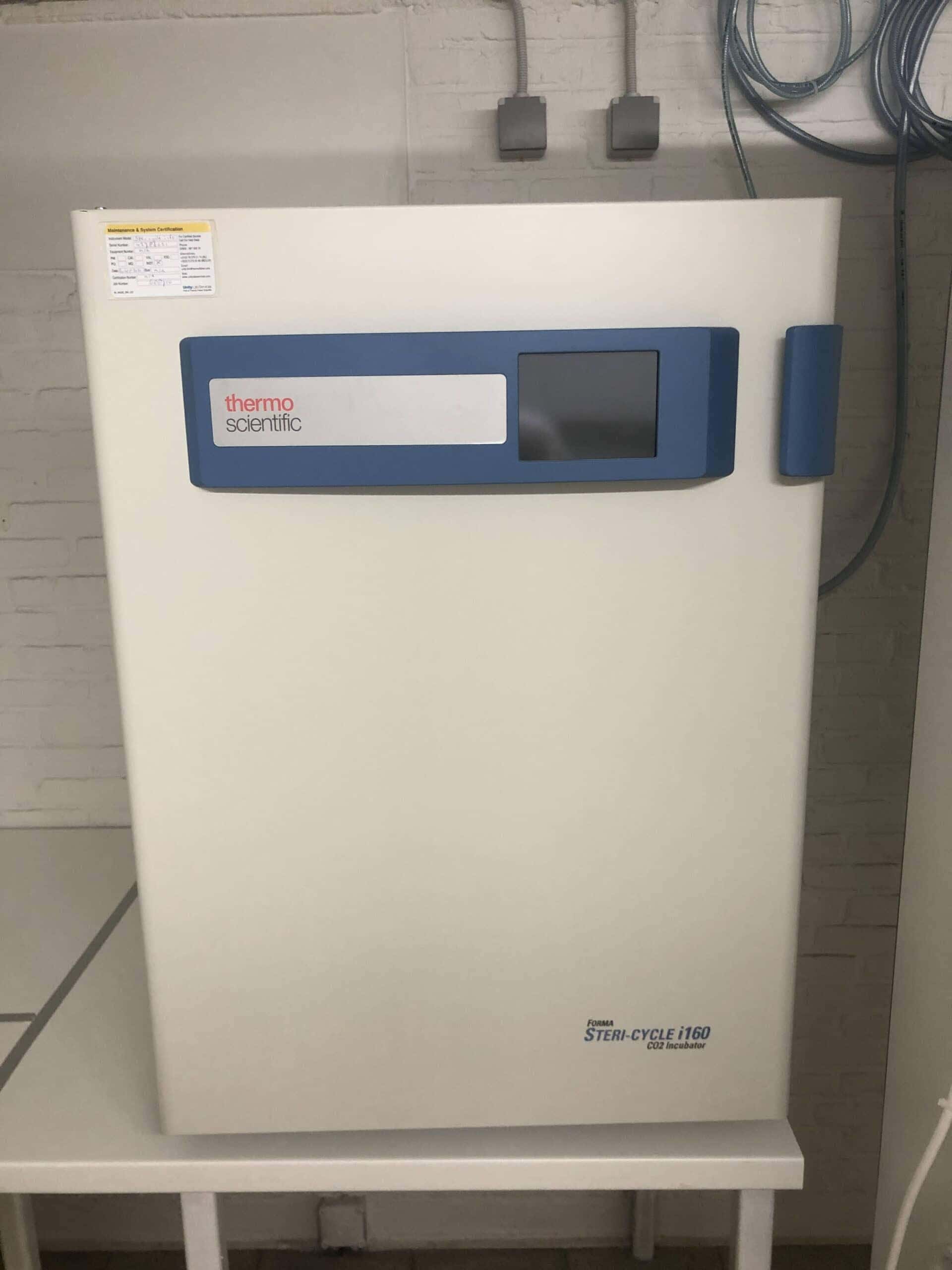 Thermo Forma Steri-Cult 3311 CO2 Incubator - LabMakelaar Benelux