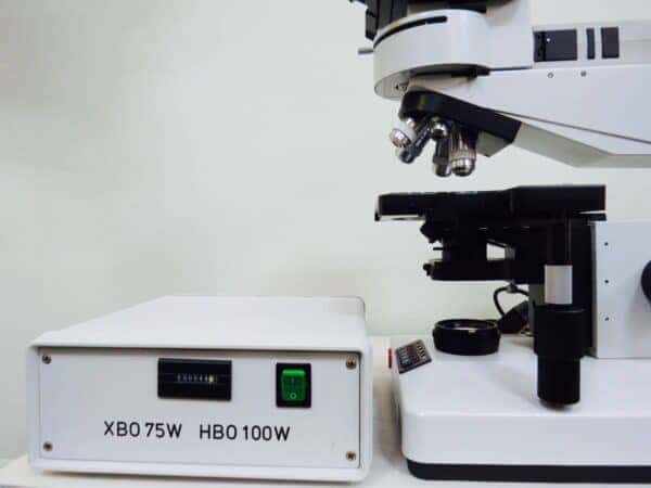 Leitz ergolux AMC fluorescence microscope - LabMakelaar Benelux