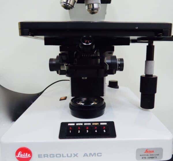 Leitz ergolux AMC fluorescence microscope - LabMakelaar Benelux
