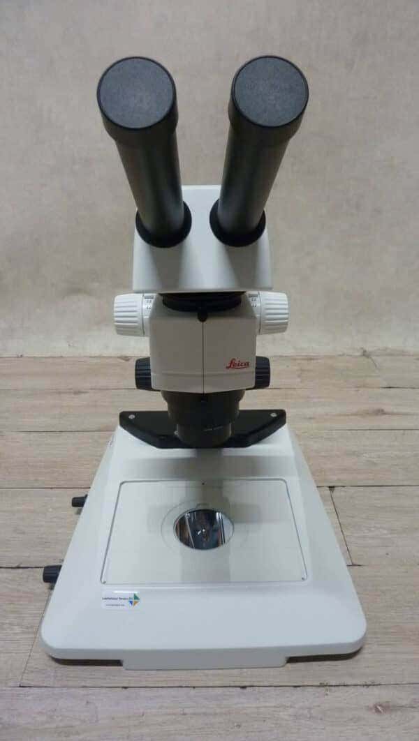 Leica M80 TL 3000 Ergo Stereo Microscope - LabMakelaar Benelux